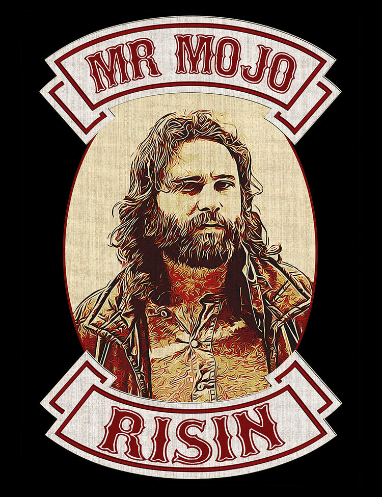 Mr Mojo Risin T-Shirt – Hellwood Outfitters